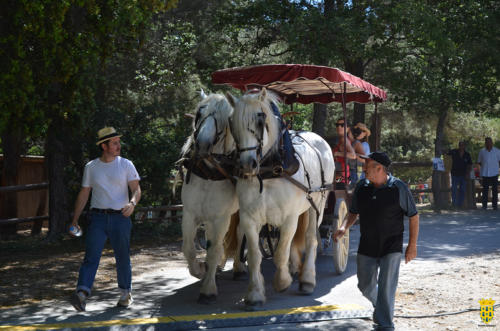 Page d'accueil - Village de Simiane-Collongue